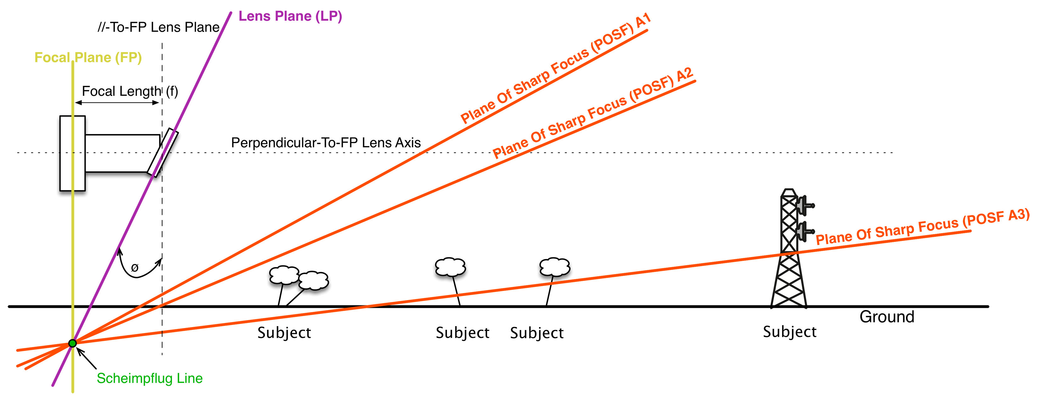 Waldo Nell :: Photography